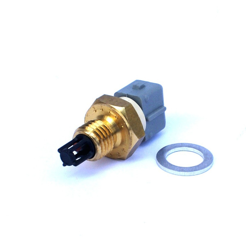 Intake Air Temperature Sensor
